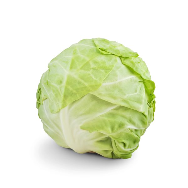 WHITE CABBAGE 25KG - Excel Food